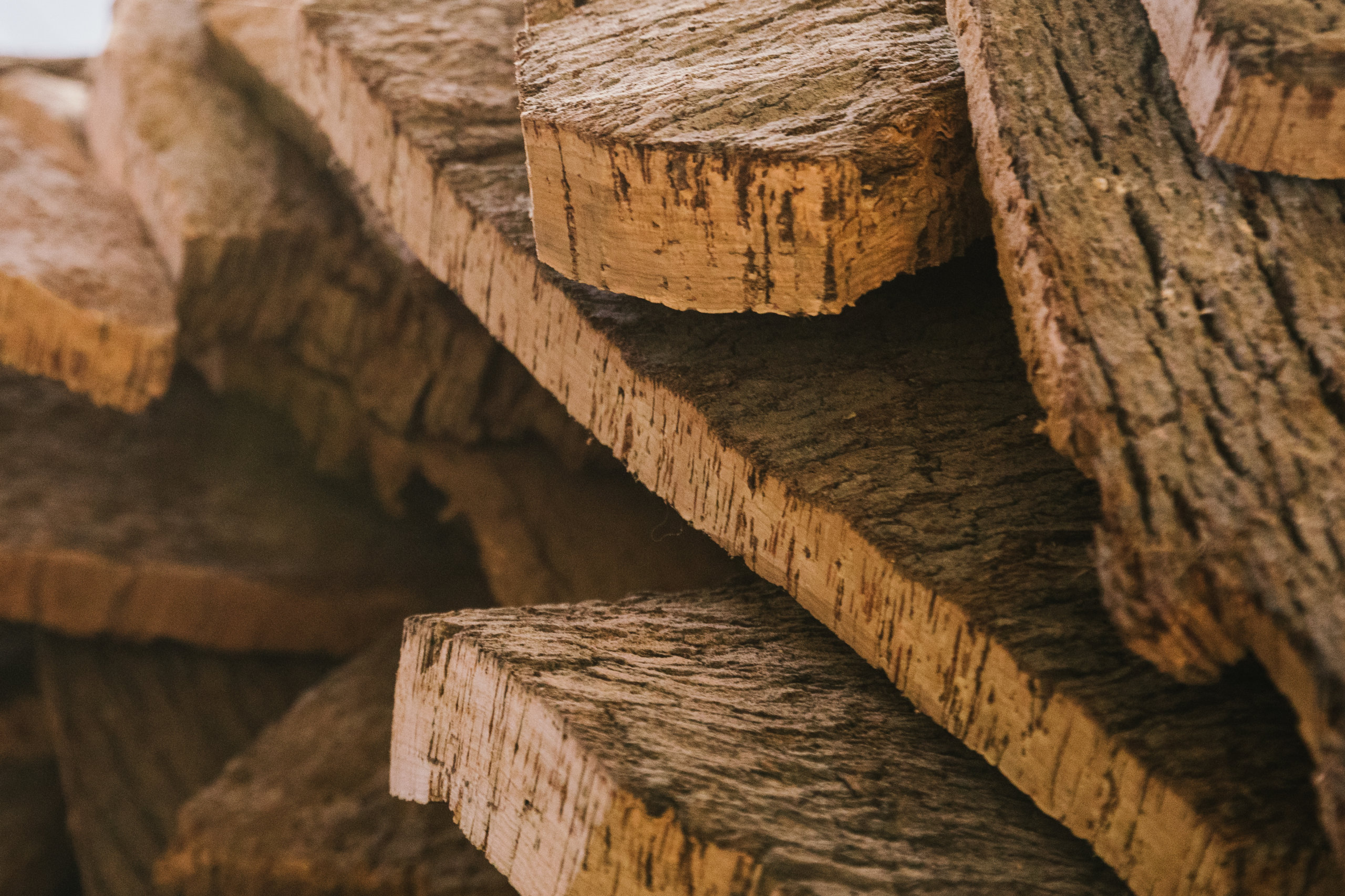 Packaging That Fights Climate Change – We Are Lush